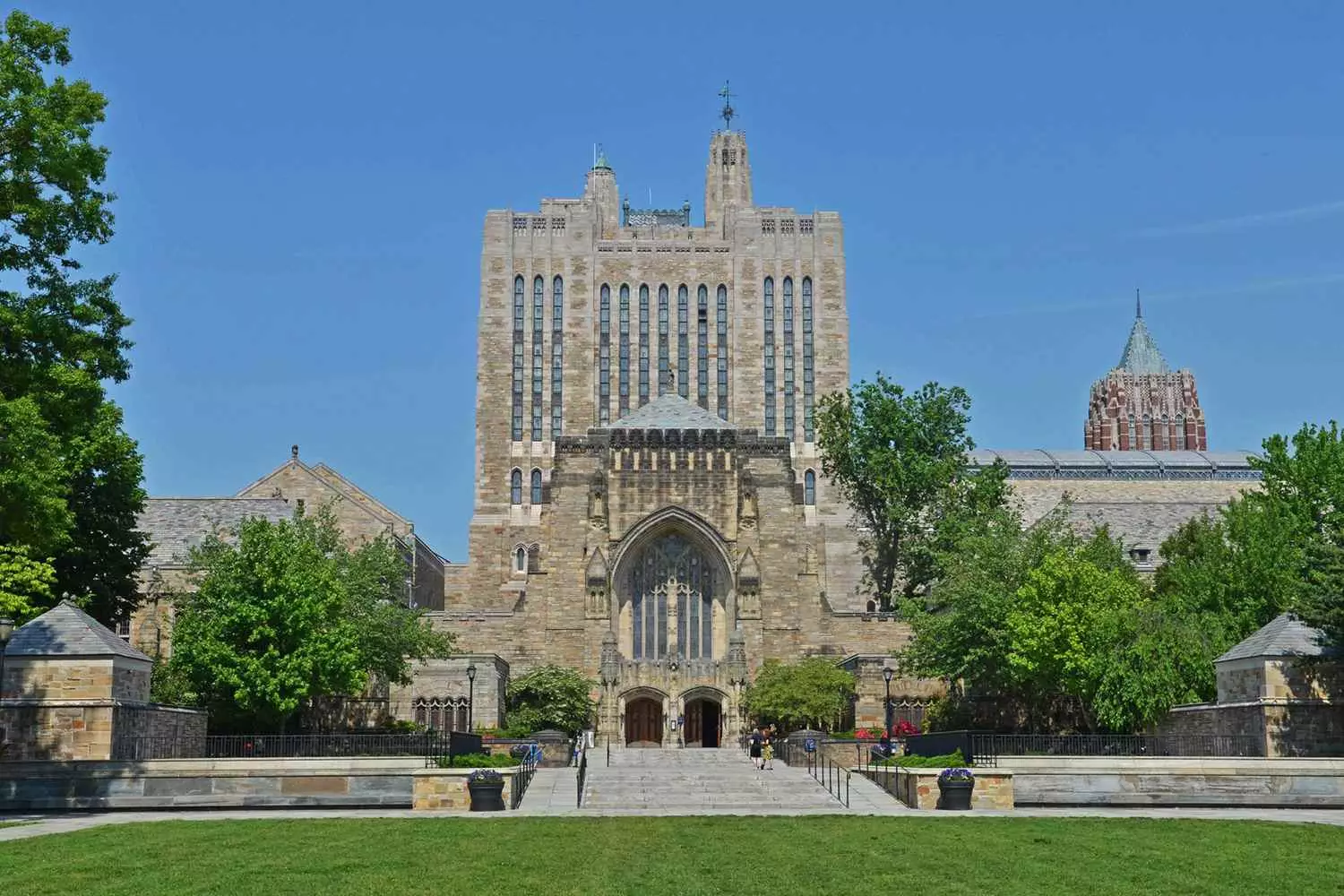 Universitas Yale