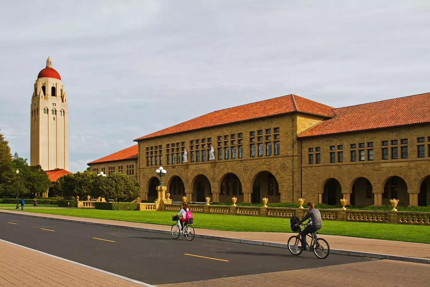 Universitas Stanford