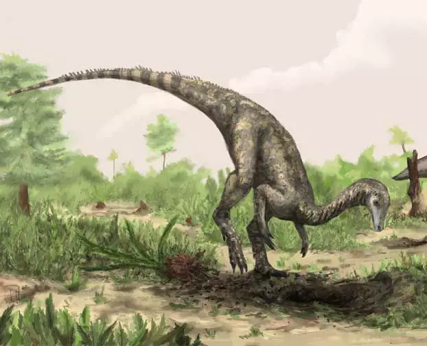 Nyasasaurus - Фактҳо ва рақамҳо