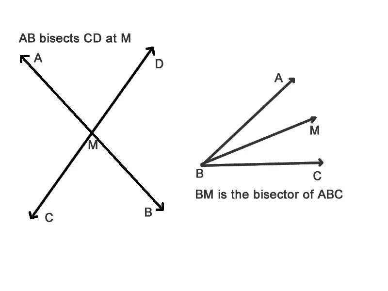 Bisectors diagram na may mga anggulo.
