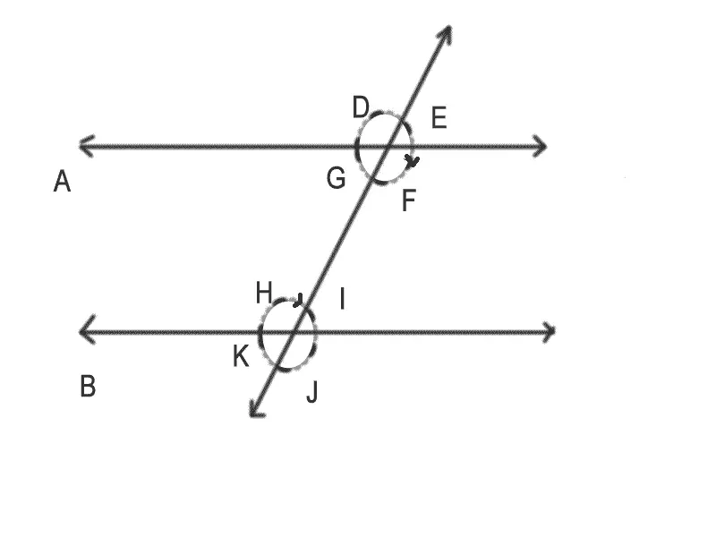 Halveringsdiagram med parallelle linjer.