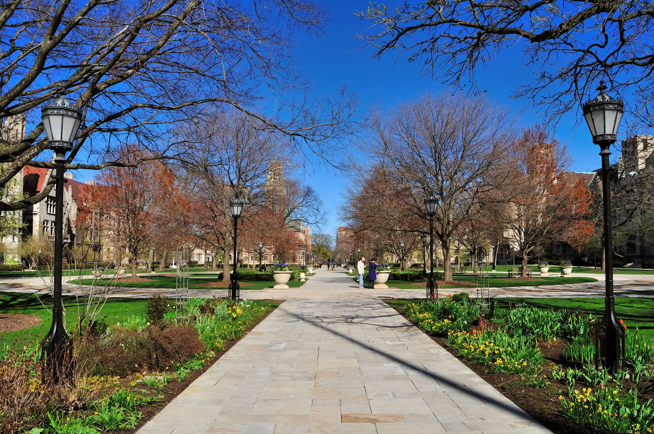 Quad, Universitat de Chicago