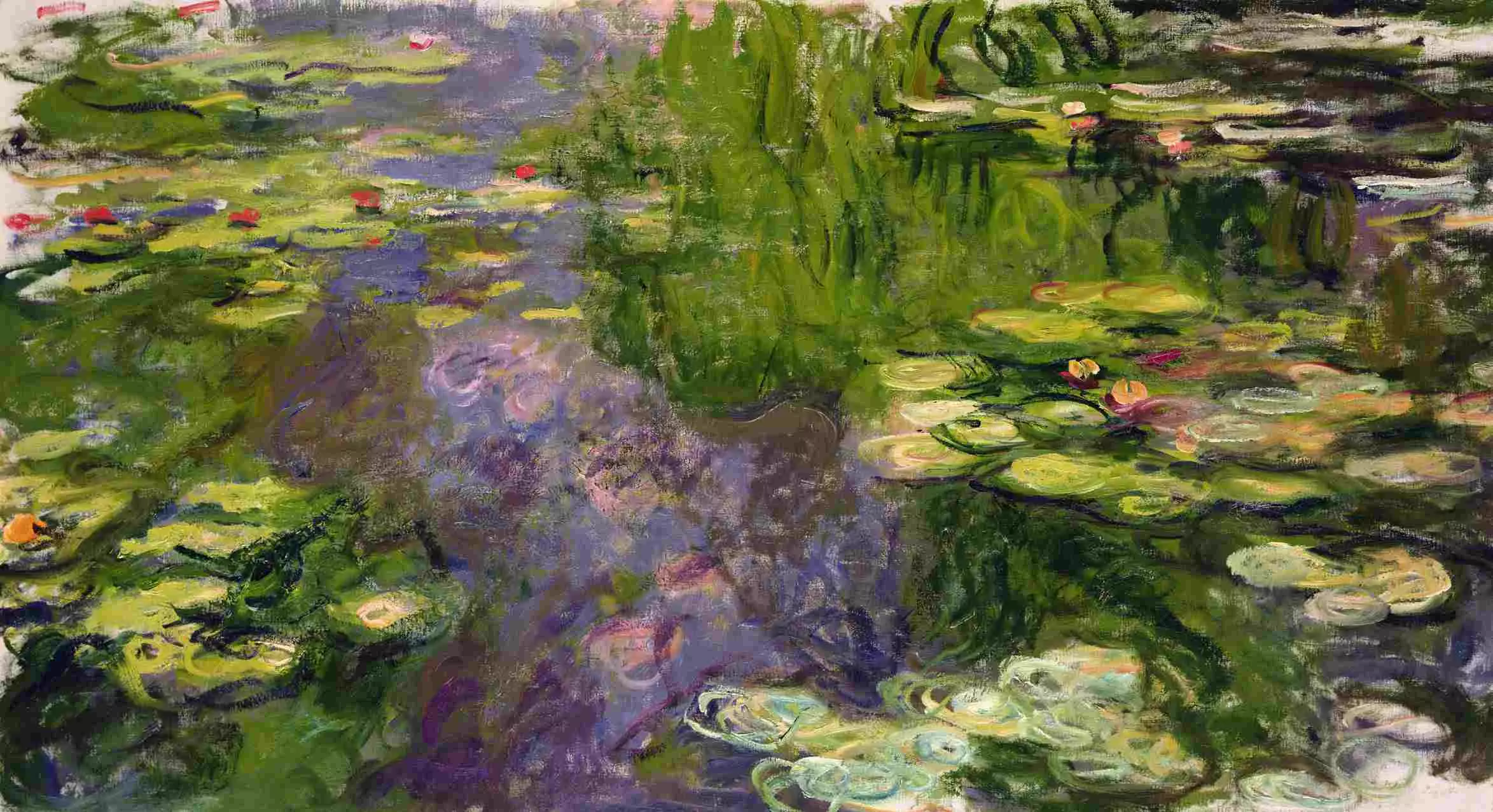 Waterlilies