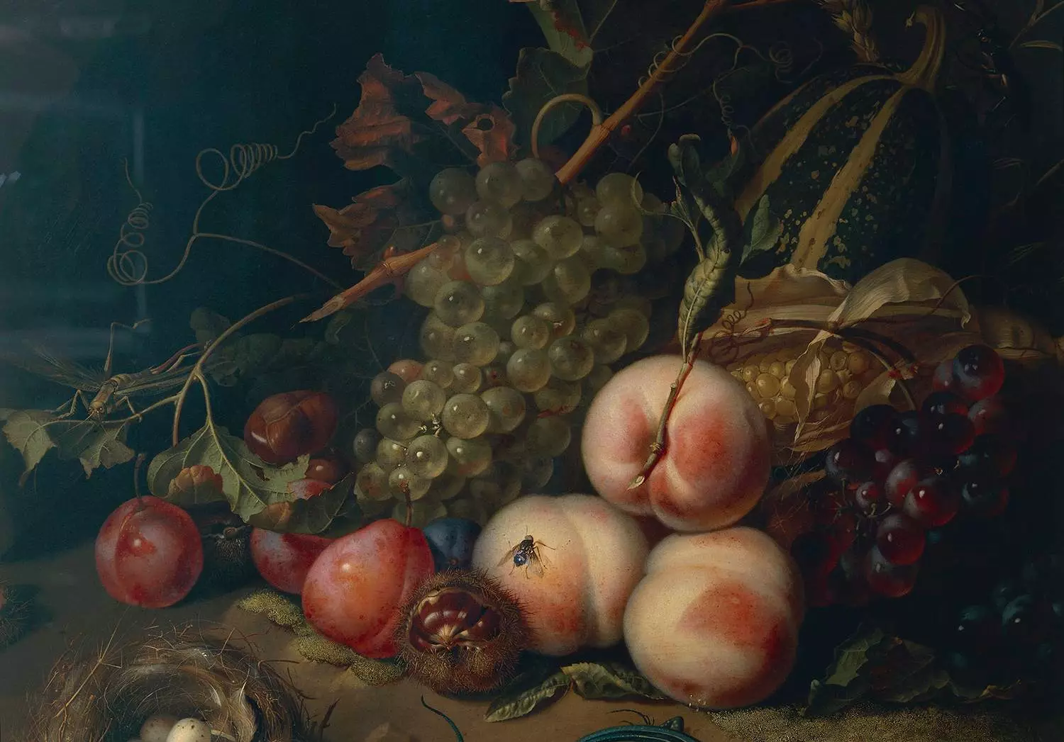 Comp Save to Board Taliansko, Florencia, Zátišie s ovocím a hmyzom od Rachel Ruysch, 1711, olej na plátne, detail