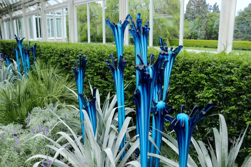 Dale Chihuly'nin Renkli, Fantastik Dünyası 535_6