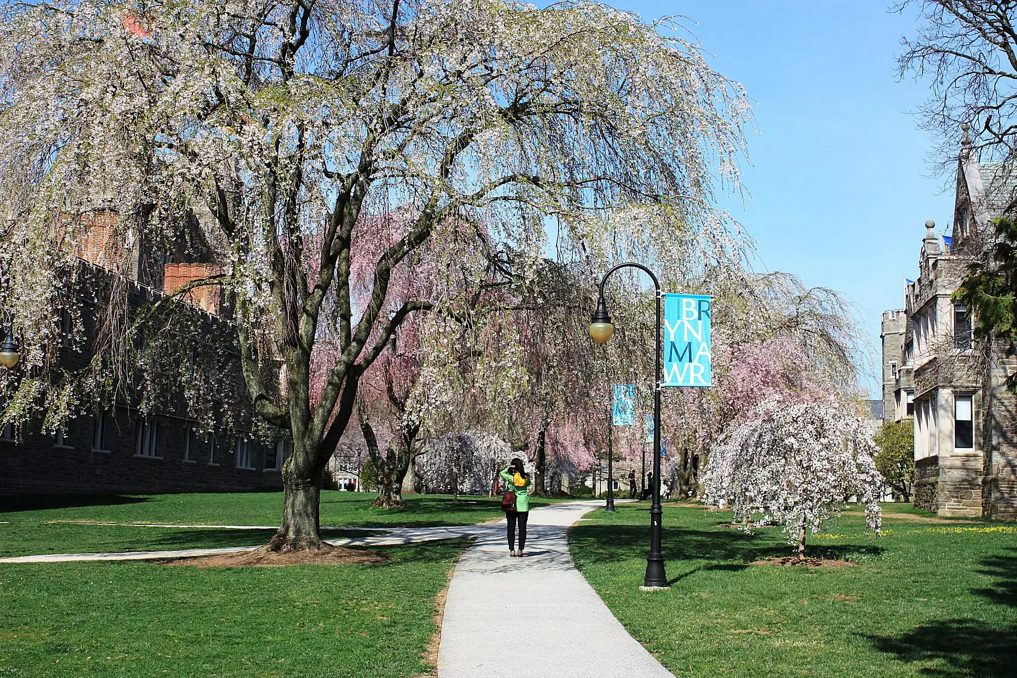 Colegio Bryn Mawr