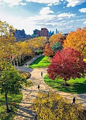 Universidad de Rutgers Camden