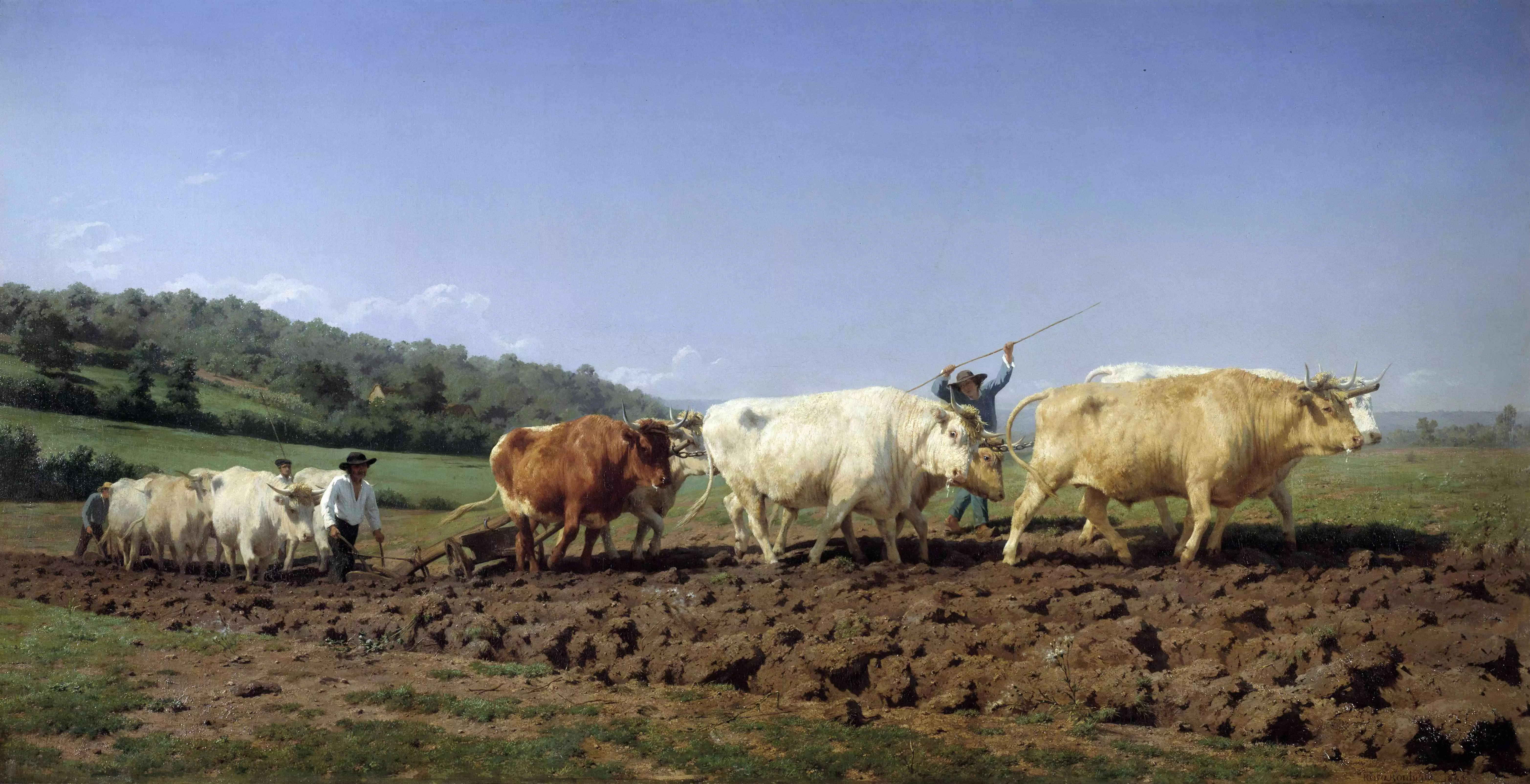 Rosa Bonheur tərəfindən Neversdə Şum