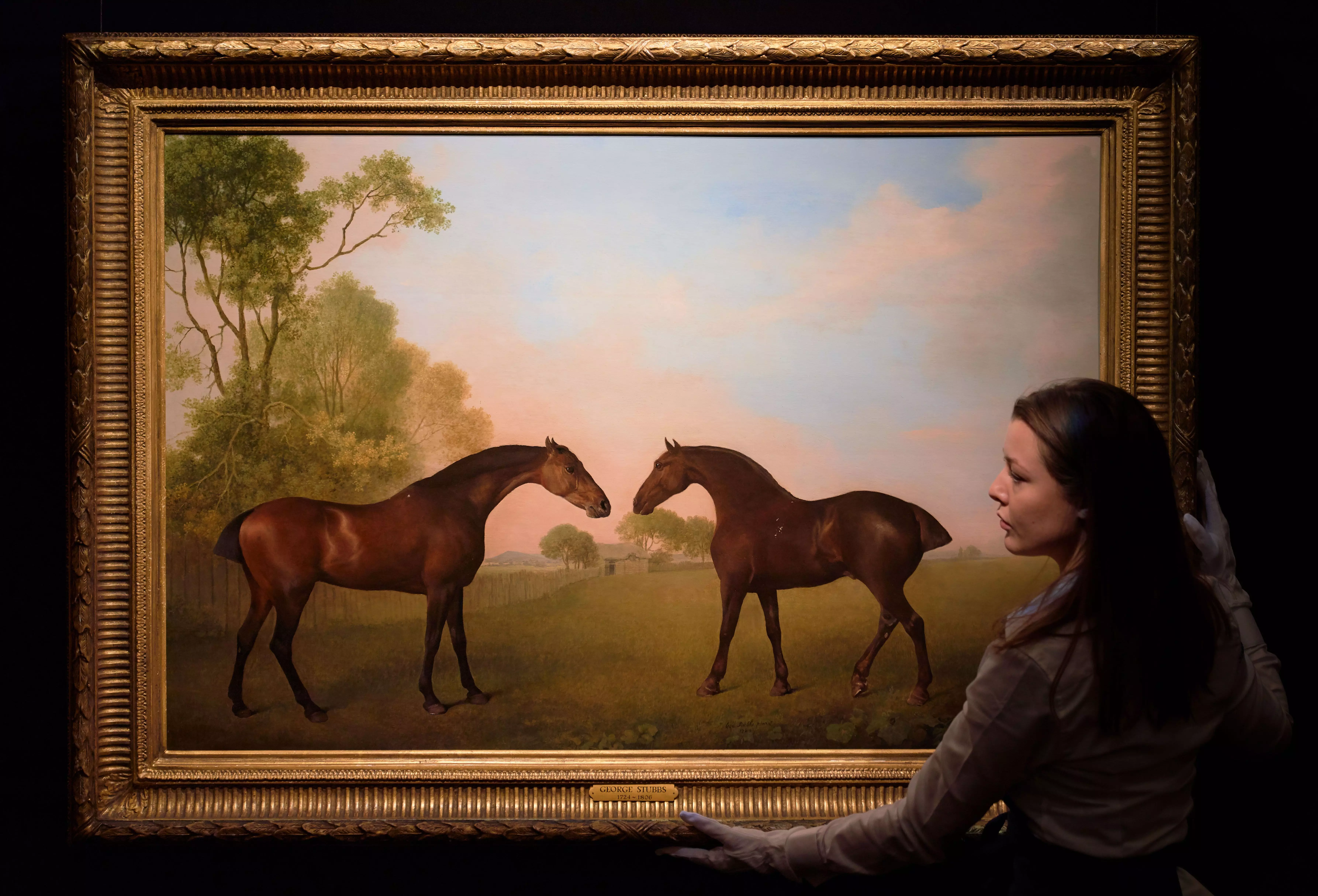 Biografio de George Stubbs, angla farbisto