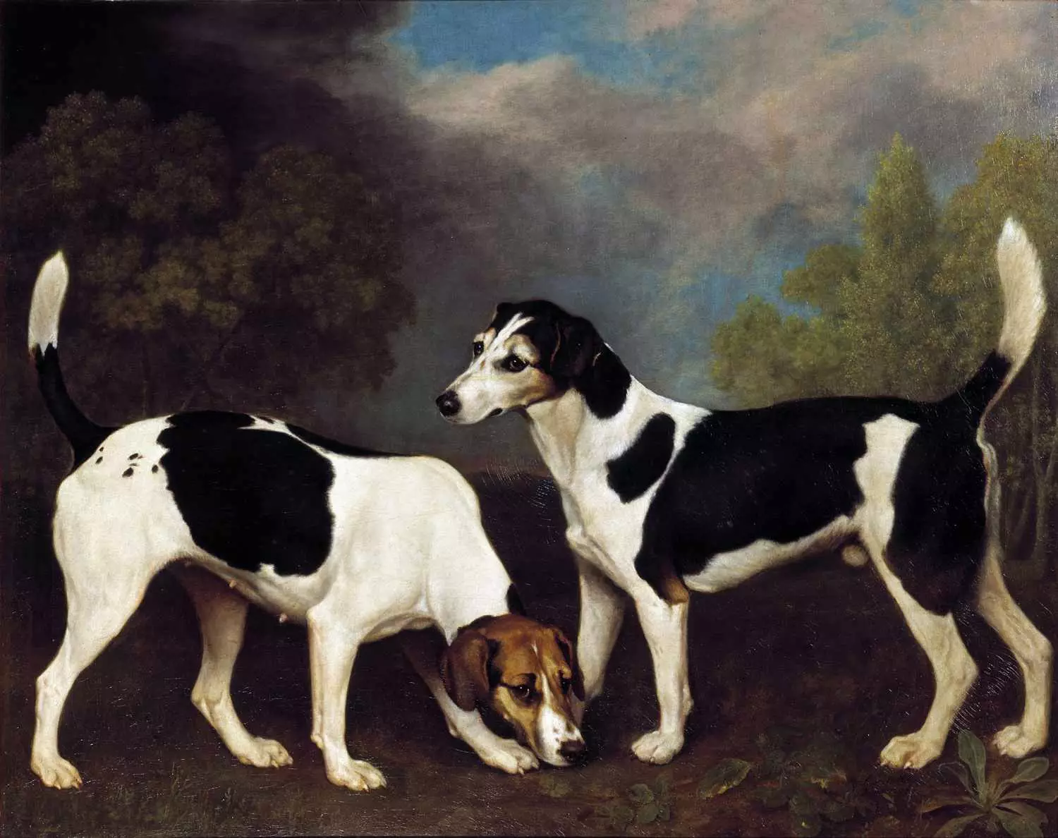 George stubbs sababaraha foxhounds