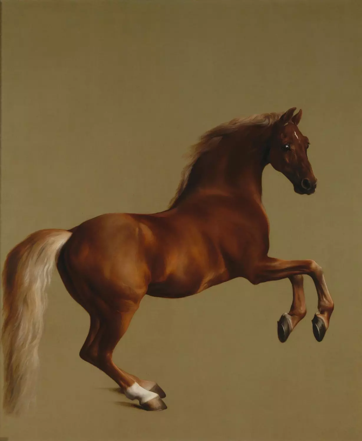 whistlejacket george stubbs