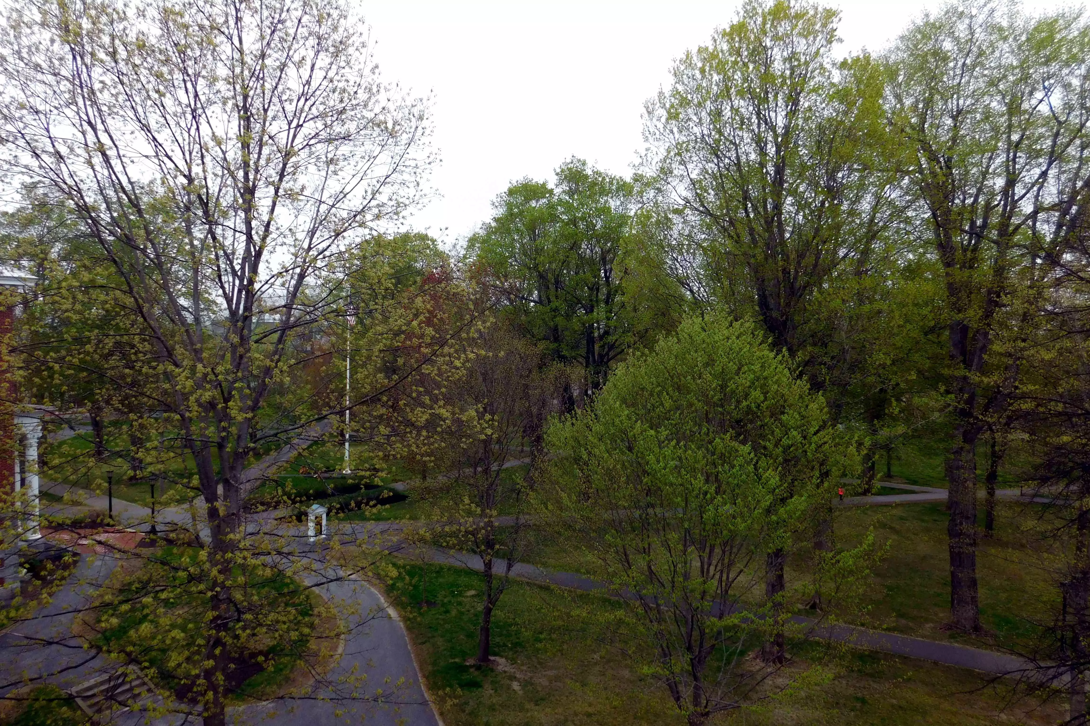 ベイツ大学の緑の風景