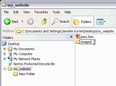 在 Windows 中创建一个名为 Images 的新文件夹