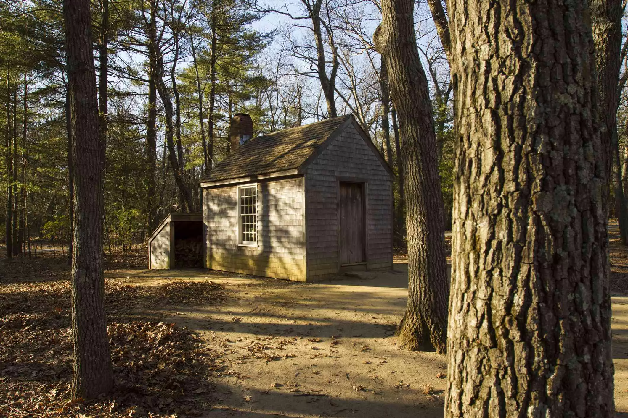 Thoreau'un kabinəsi Walden gölməçəsi