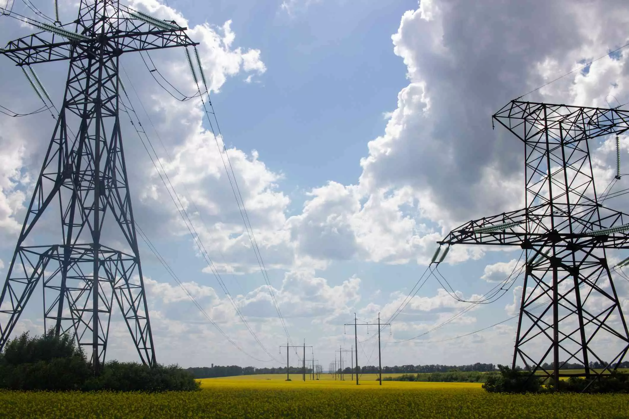 As liñas eléctricas pasan polos campos para servir ao ben común.