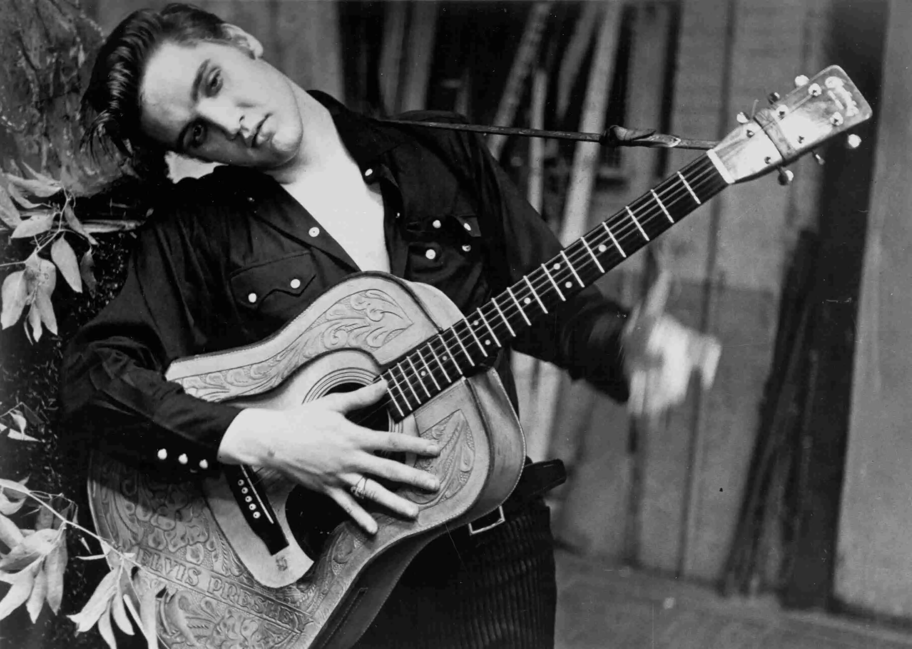 Elvio Presley portretas su akustine gitara