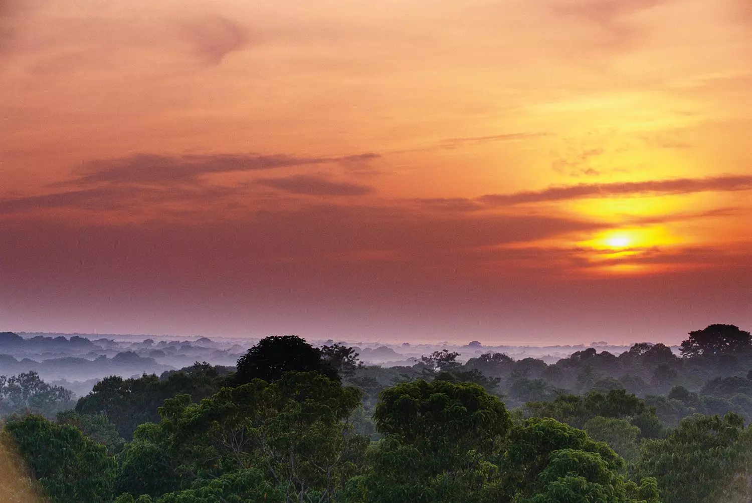 Amazon River Basin Länner