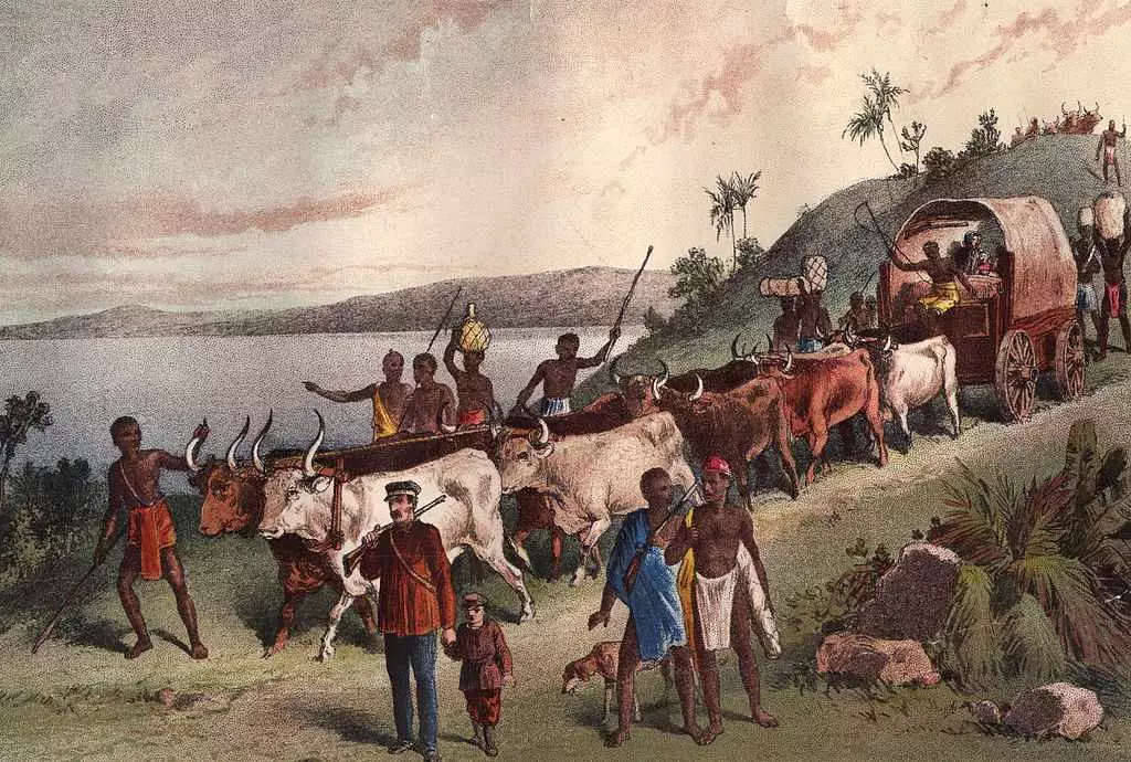 circa 1855: Arive nan eksploratè Britanik, David Livingstone ak pati nan Lake Ngami.