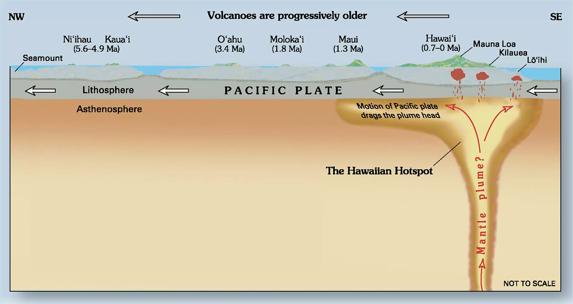 Хавајска острва су резултат вруће тачке која је створила свако острво док се пацифичка плоча померала. Слична жаришта постоје широм планете.