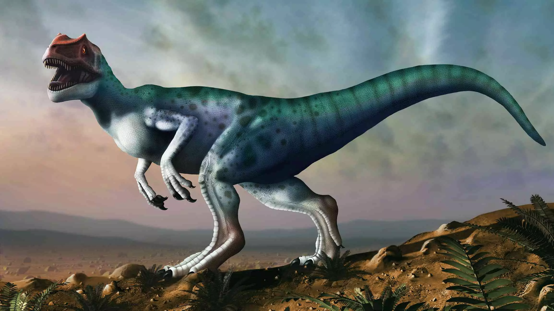 Ilustrim i Allosaurus