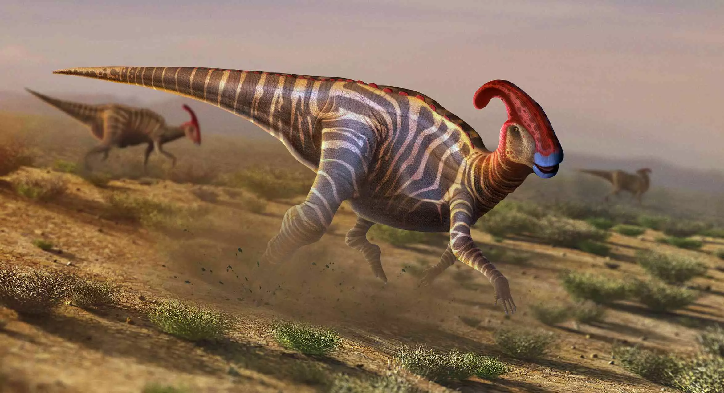 Karya seni parasaurolophus