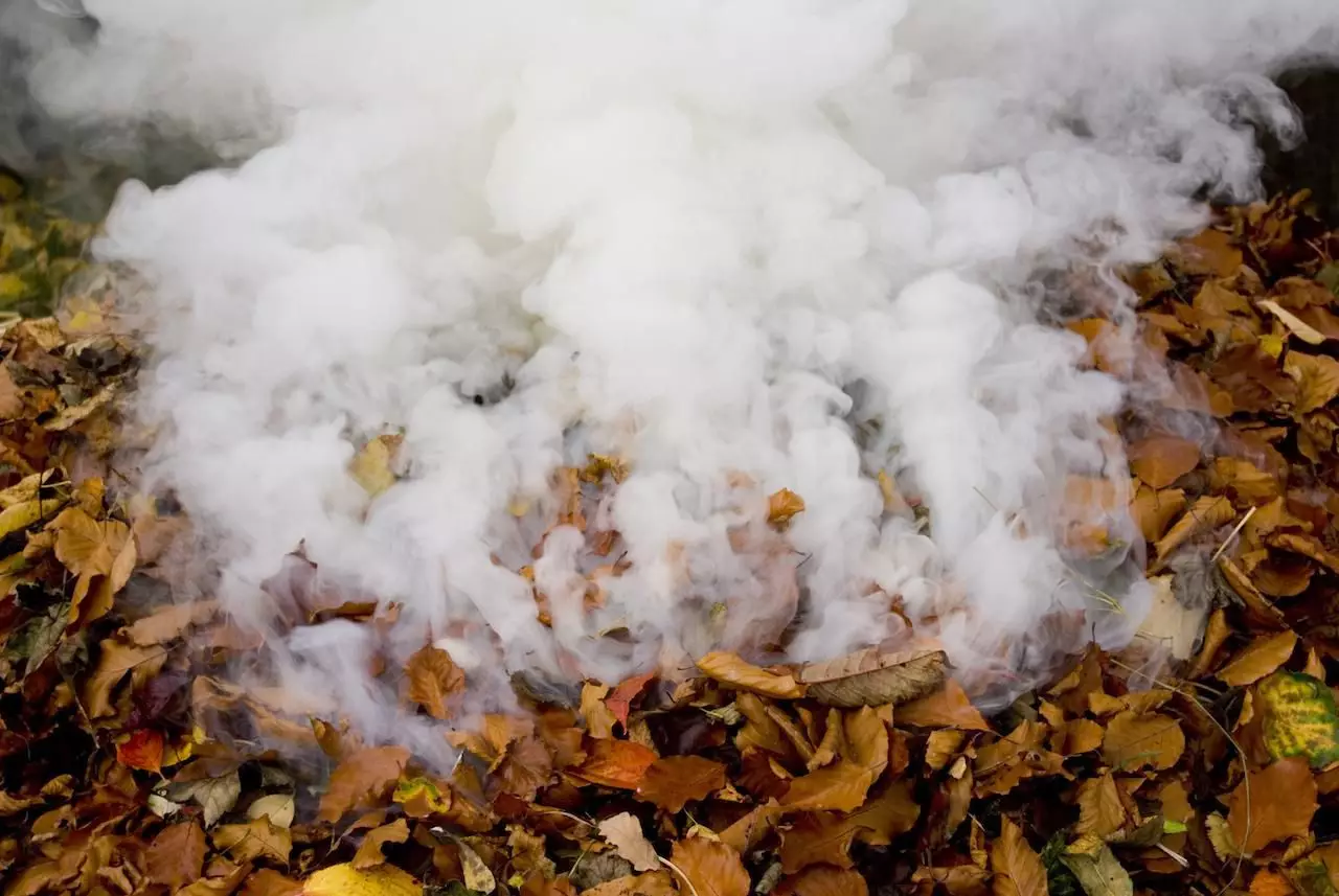 Brennendes Herbstlaub kann Ihre Gesundheit gefährden