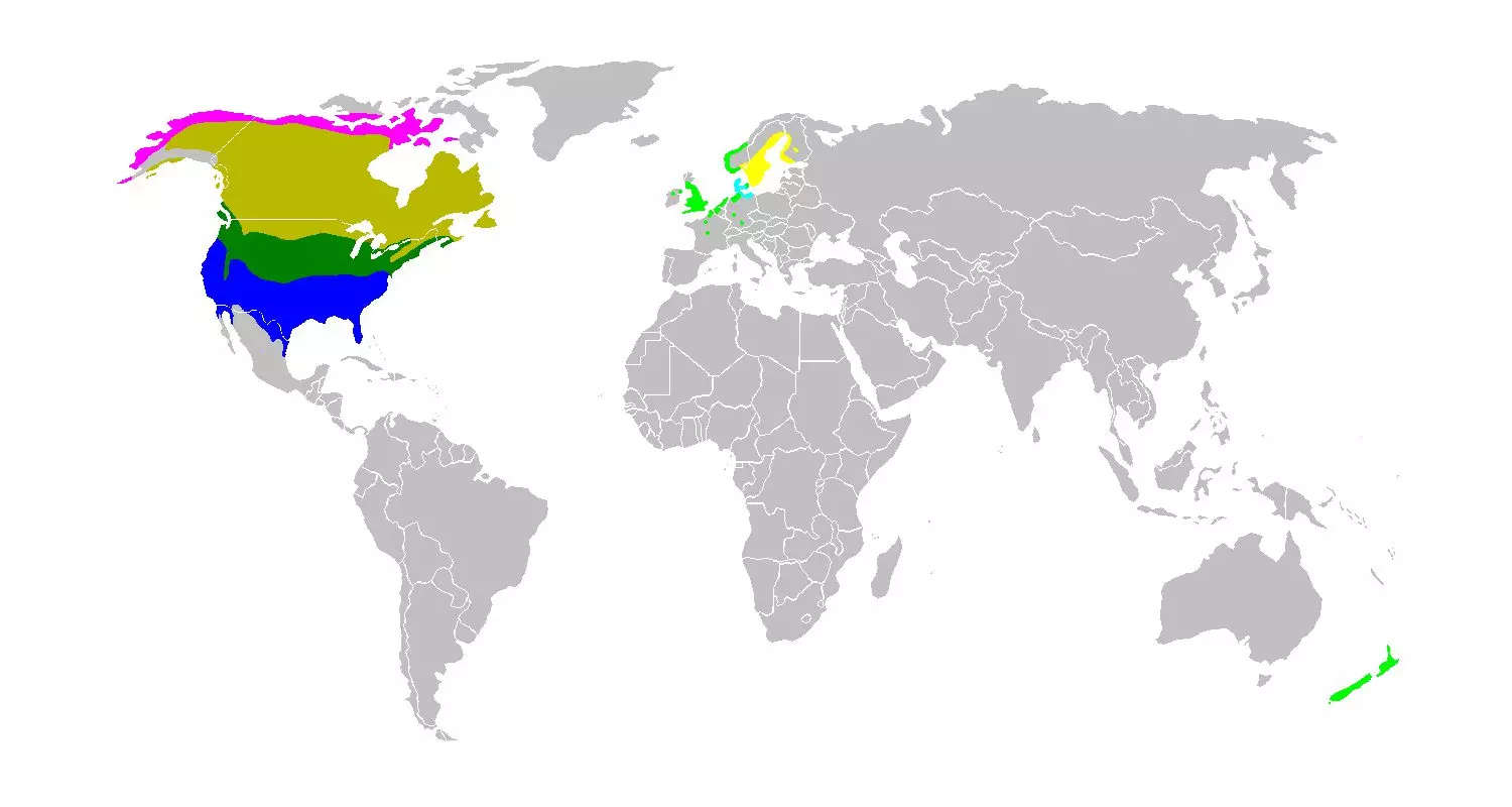 Imephu yomhlaba ebonisa indawo yehansi yaseCanada.