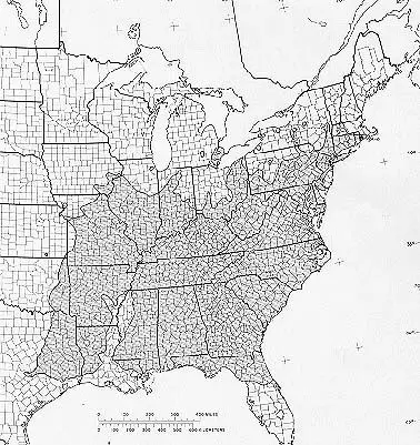 Mockernut Hickory silsiləsi